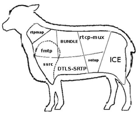 Update Anatomy Of A Webrtc Sdp Antón Román Webrtchacks