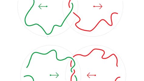 发表论文 朱有亮课题组