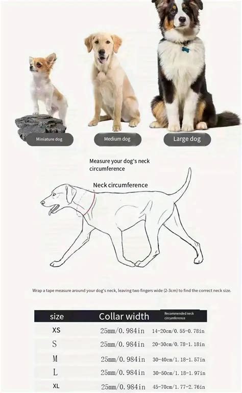 で耐久性のある反射犬用首輪＆リードセット 調整可能で快適！ Temu Japan