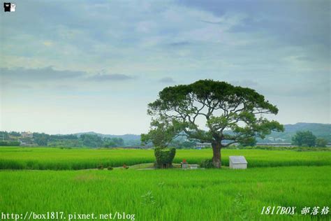 【苗栗。銅鑼】200年歷史田心伯公。龍貓土地公。自然田園風光旅遊walkerland窩客島