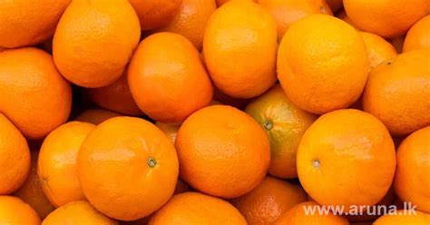 රජයේ රෝහල් වලට දොඩම් අරුණ