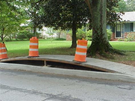 Tree Sidewalk Root Protection Walter Reeves The Georgia Gardener