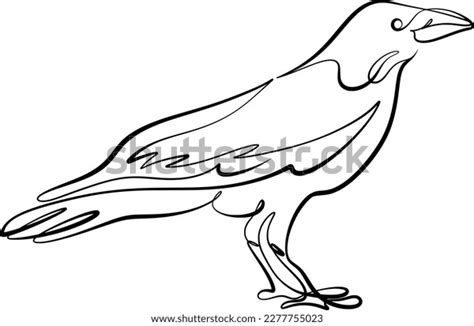 Continuous Line Art Vulture Crows Stock Vector Royalty Free 2277755023 Shutterstock
