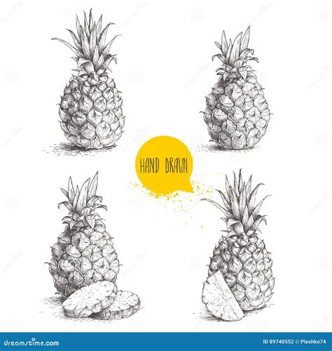 Hand Drawn Sketch Style Set Illustrations Of Ripe Pineapples Stock
