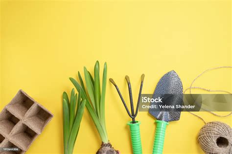 토탄 냄비는 노란 배경에 모종 갈퀴 삽 녹색 묘목 및 재앙을 재배하기위한 것입니다 복사 공간이있는 뒤뜰 야채 정원 심기 개념