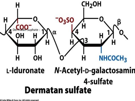 Carbohydrates