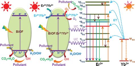 Schematic Diagram Of The Possible Photocatalytic Mechanism Of The