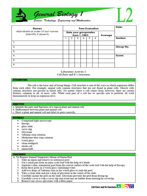 L2 Cell Parts And Its Structures Pdf Staining Physical Sciences