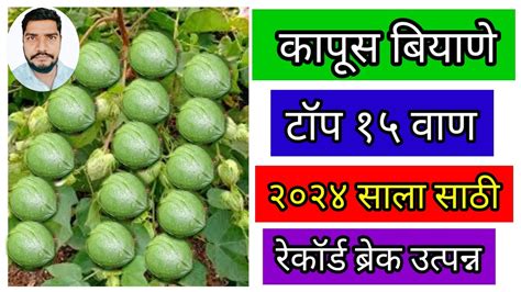 कापूस २०२४ साठी टॉप १५ बियाणे L कपाशी बियाणे L Kapus Variety L Top 10