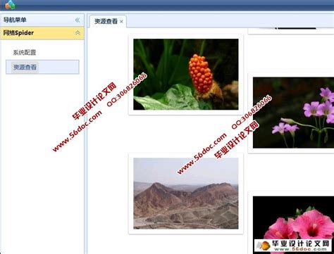 基于java技术爬虫爬网站图片设计与实现jspmysql含录像javaweb计算机