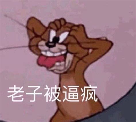 有哪些万能的表情包推荐？ 知乎