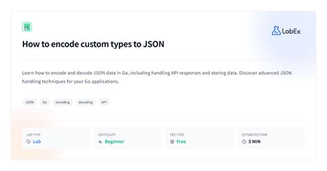 How To Encode Custom Types To Json Labex