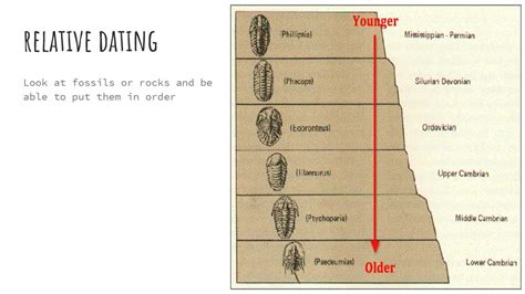 Copy 63 Geological Time Fossil Record Reading Ppt Download