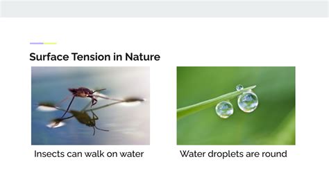 Understanding Surface Tension Surfactants And Polarity Scopes Df