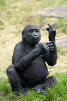 Finger Meme S Tenor