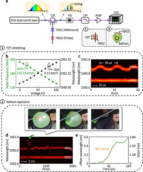 Figure 5 From Practical Ghz Single Cavity All Fiber Dual Comb Laser For