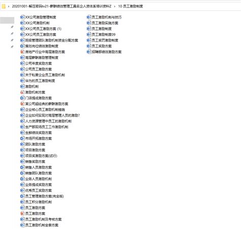 薪酬绩效管理工具，名企人资体系培训资料，全套范文案例拿来就用 模板终结者