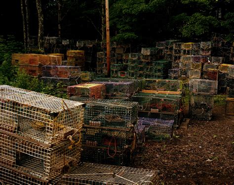 Photo — Jesse Lenz