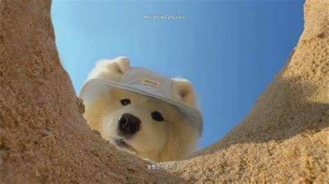 Playlist 장르 안따지고 기분 좋아지는 여름 띵곡 싹 다 모았다🌊 💝 하루종일 틀어놓으면 짜증지수 날라가는 국내 노래모음 노동요 카페 매장음악 플레이리스트