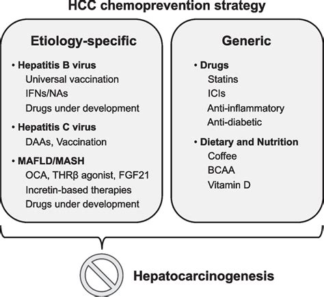 Strategy For Hcc Chemoprevention Abbreviations Ifn Interferon Na