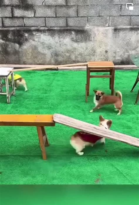 Rajesh Patil On Linkedin Ai Automation Rpa