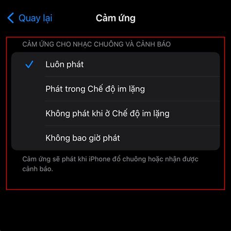 Cách Tuỳ Chỉnh Chế độ Rung Trên Ios 17 Theo Nhu Cầu Sử Dụng Vô Cùng đơn