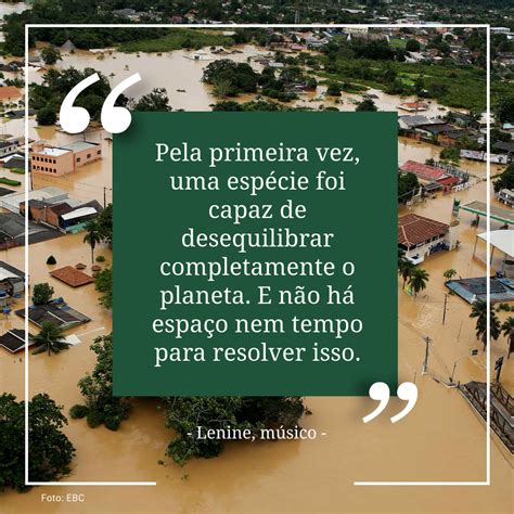 Frases Do Meio Ambiente Lenine Músico 06022020 Oeco