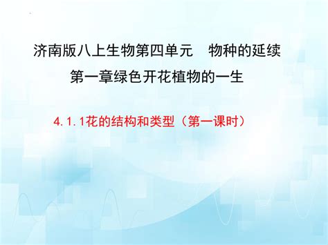4 1 1花的结构和类型（第一课时）课件 共22张ppt 内嵌视频1个 济南版生物八年级上册 21世纪教育网