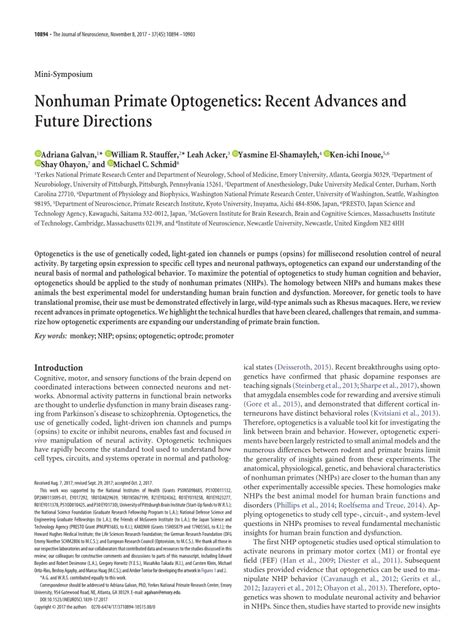 Pdf Nonhuman Primate Optogenetics Recent Advances And Future Directions