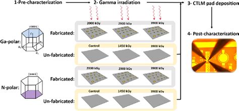 Schematic Of The Experimental Procedure Of Pre And Post Irradiation Download Scientific Diagram