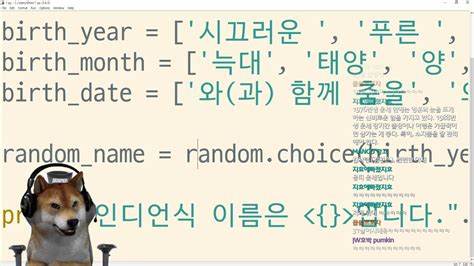 파이썬으로 인디언식 이름 짓기 김왼손의 왼손코딩 Youtube