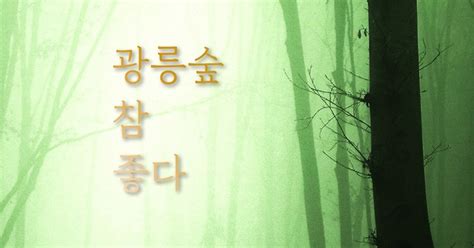 광릉숲의 가치 발굴·확산경기도 사진·글귀 공모전