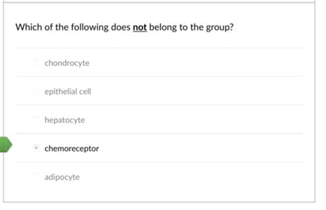 Anatomy Final Flashcards Quizlet