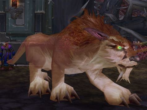 Halazzi Wowpedia Your Wiki Guide To The World Of Warcraft