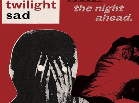 Twilight Sad Forget The Night Ahead Vinyl Re Stock • Withguitars