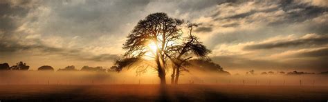 Free Dual Screen Backgrounds PixelsTalk Net