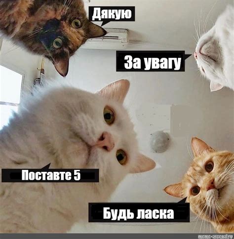 Meme All Templates Meme
