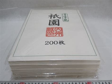 最高級手漉画仙紙 因州和紙「別漉 本草画仙 白」半切サイズ 80枚 楮紙 書家の愛蔵品 古玩 書道作品用紙の落札情報詳細 ヤフオク落札価格