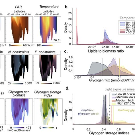 Simulation Of Prochlorococcus Med4 Genome Scale Model Across The Global Download Scientific