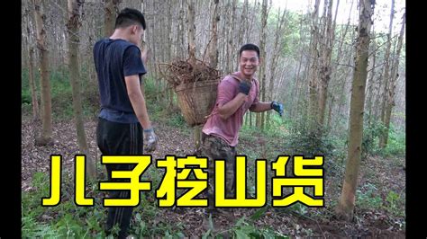 农村阿琪带儿子到山林里挖山货卖钱，收获满满一大背篓，乐坏了【农村阿琪】 Youtube