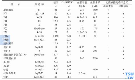 凝血因子生化与功能 血液病学 天山医学院