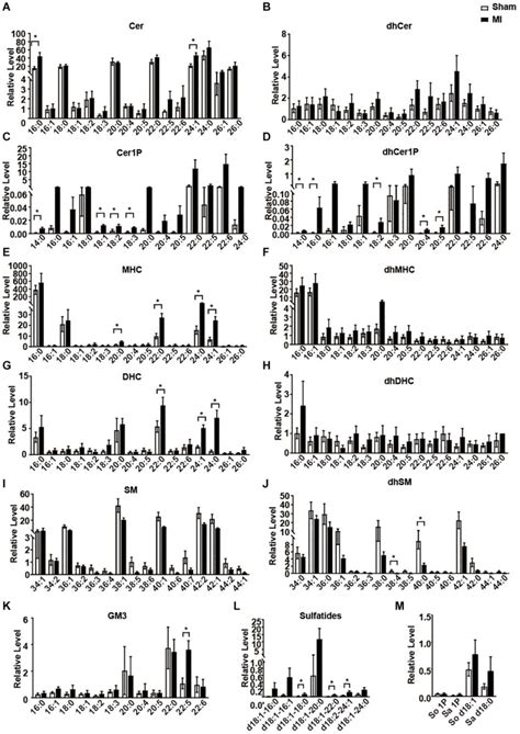 Lipidomics Revealed Alteration Of Sphingolipid Metabolism During The