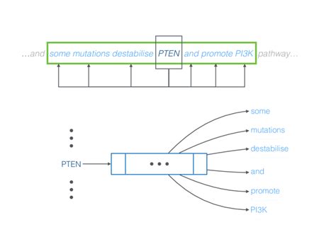 Description Of The Skip Gram Model Used In Word2Vec To Find An Optimal
