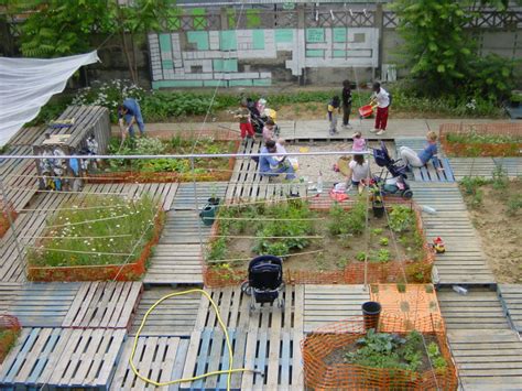Carrot City Ecobox