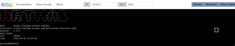 Arthas 阿尔萨斯arthas boot 方式安装及使用教程 阿里云开发者社区