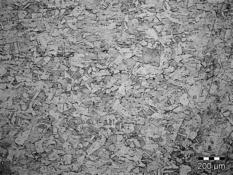 Microstructure Of Solution Annealed 304L Austenitic Stainless Showing