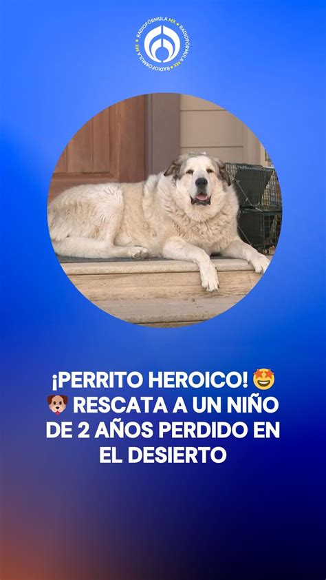 En Vivo Ciro Gómez Leyva En Por La Mañana 🔴en Vivo Porlamañana