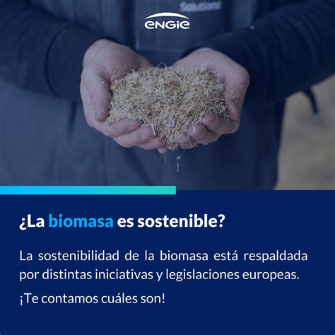 La Sostenibilidad De La Biomasa En España Engie España