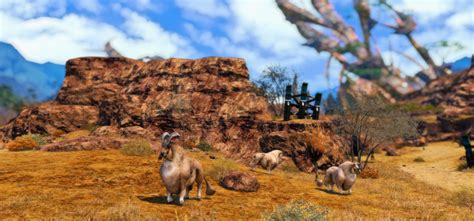 Aldgoat Skin And Aldgoat Leather Farming Ffxiv Fandomspot