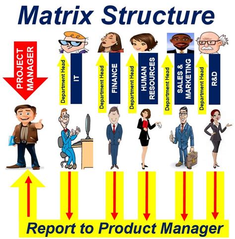 What Is A Matrix Organization Definition And Meaning Market Business